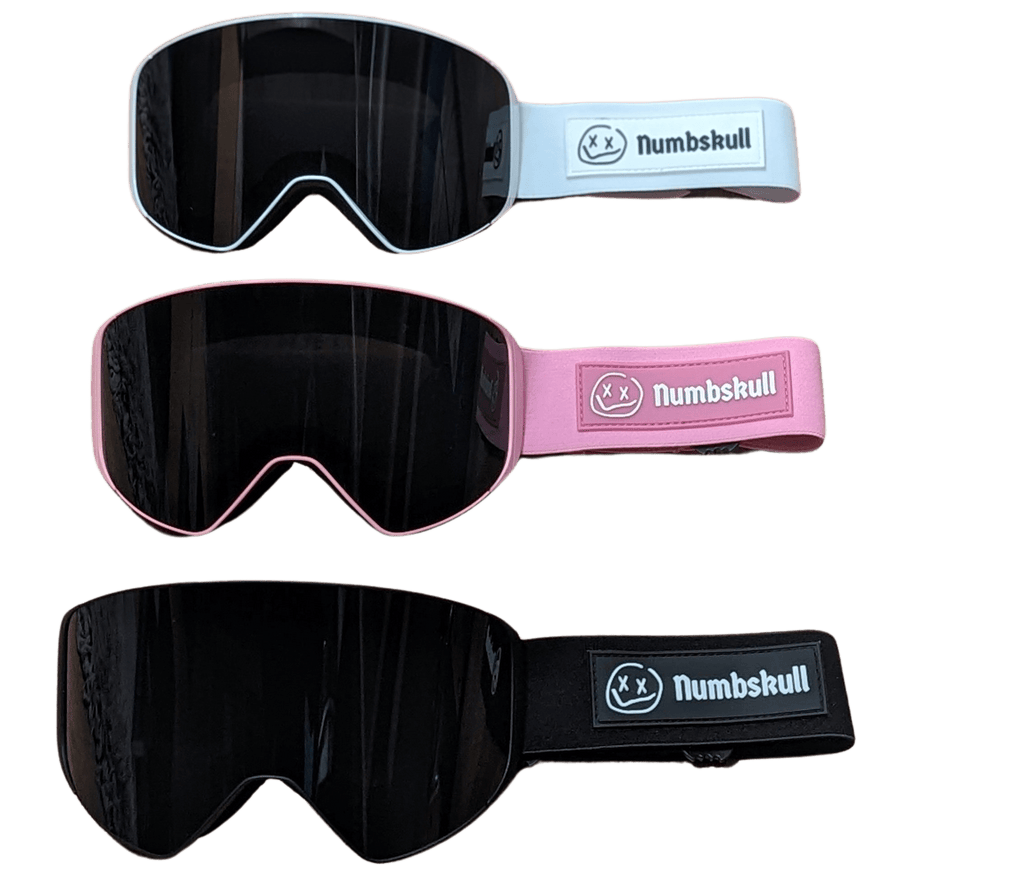 Slacker Magnetic Snow Goggle – Numbskull